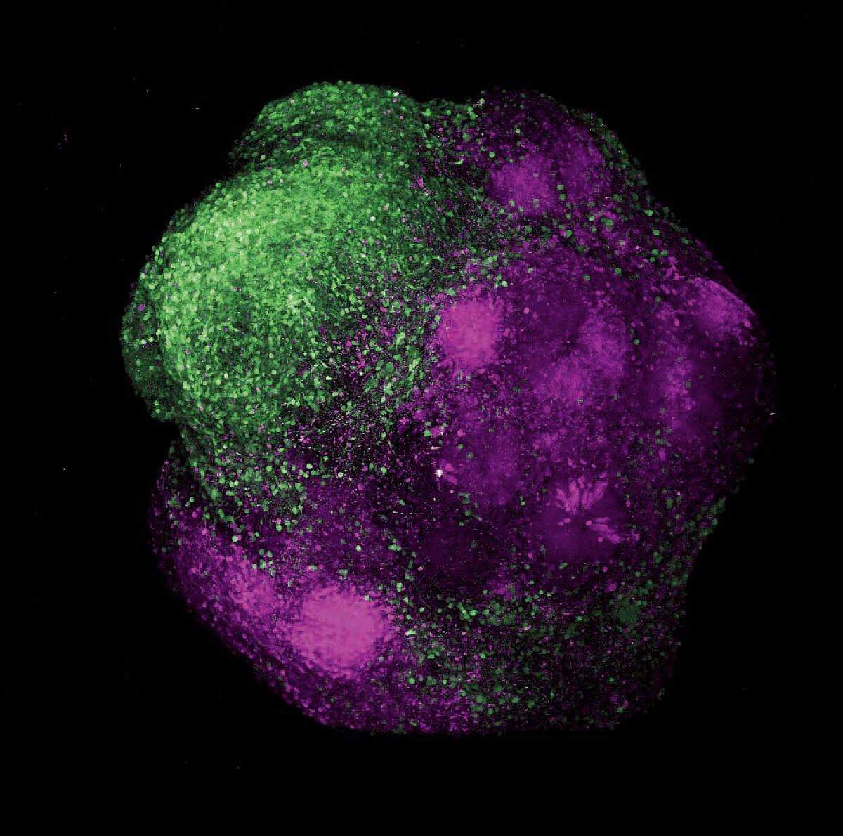 “This Beautiful Machine” | HSCRB